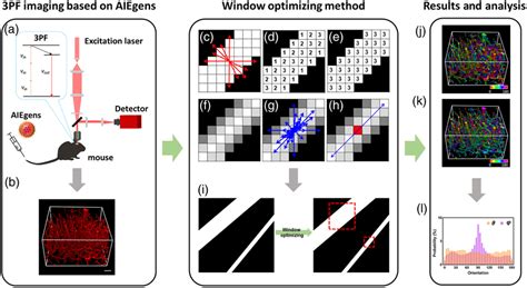 schematic diagram of imaging and characterizing system a nir ii