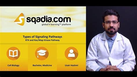 Types Of Signaling Pathways Rtk And Rasmap Kinase Pathway