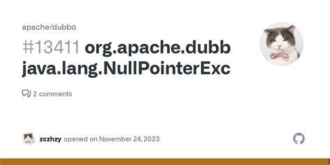 Orgapachedubboremotingremotingexception Javalang