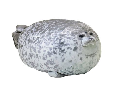 Blob Seal Pillow Cute Chubby Seal Plush Toy Cotton Stuffed Etsy