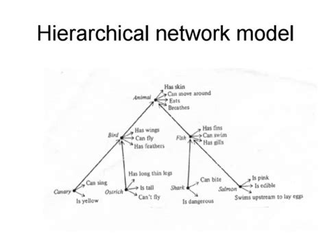 Psy246 Week 7 Semantic Memory Flashcards Quizlet