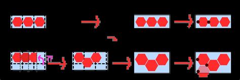 Placing Grids Within Spaces Pandaqi Blog