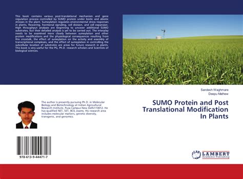 Pdf Sumo Protein And Post Translational Modification In Plants