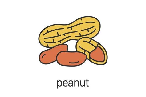 Peanut Color Icon En 2024