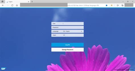 Fiori Launchpad Sap Security Pages