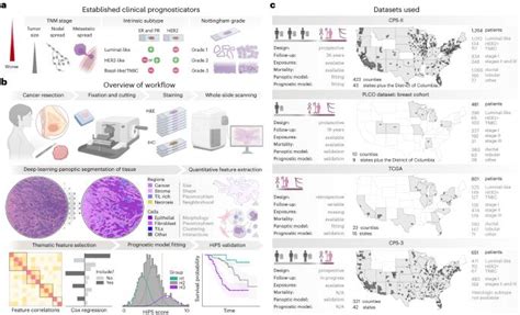 Amaninder Singh Dhillon On Linkedin A Population Level Digital Histologic Biomarker For