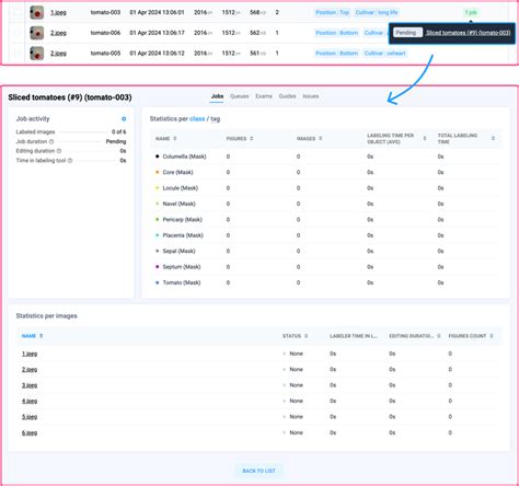introducing advanced dataset filters for efficient data management