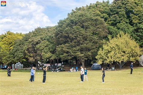 서울시 내 손안에 서울