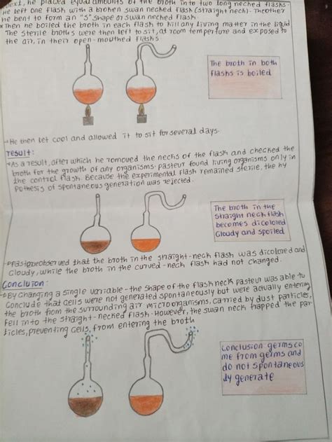 Louis Pasteur Experiment