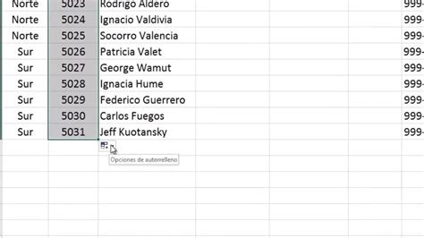 Las Diez Funciones De Excel Que Todos Deberían Aprender Según La Universidad De Harvard Infobae