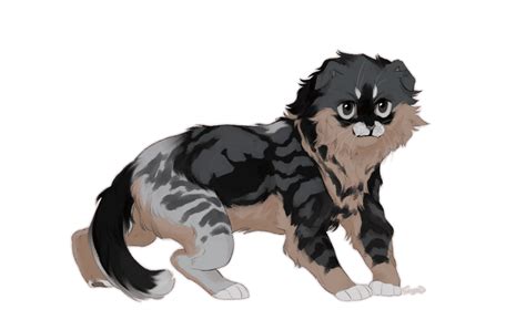 Warrior Cats Oc By Sugarbrr On Deviantart