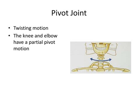 PPT How The Bones Stay Connected PowerPoint Presentation Free Download ID 2518726