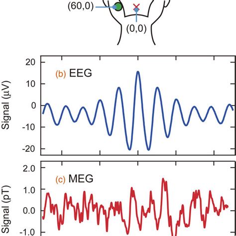 A Experimental Setup For Meg Measurement B Reference Eeg Signal