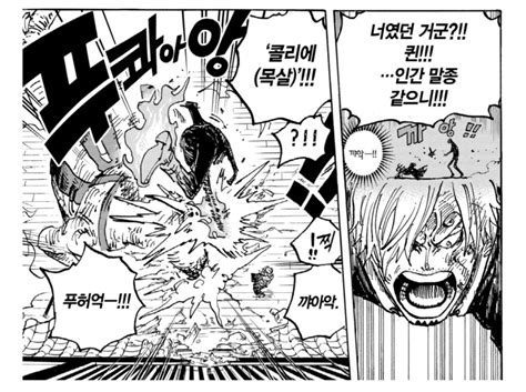 원피스 사황 백수해적단 간부들이 패배한 이유들 포텐 터짐 화제순 에펨코리아