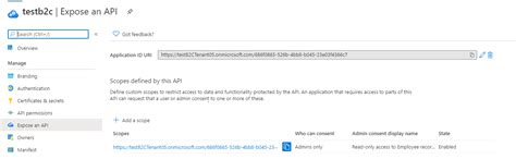 C How To Create A Api Scope Using Azure Ad Graph Api Stack Overflow