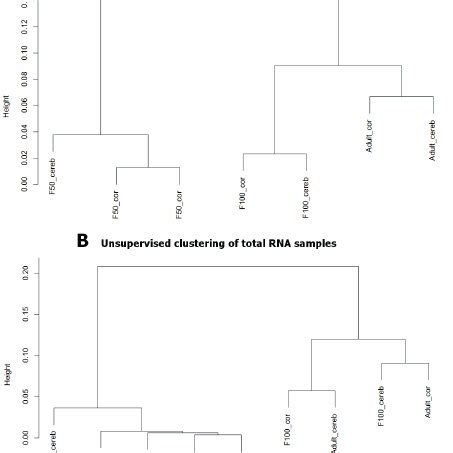 Unsupervised Hierarchical Clustering A Unsupervised Clustering Of Download Scientific