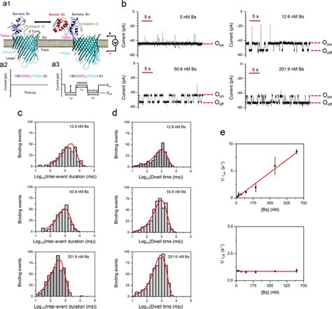 Real Time Measurement Of Protein Protein Interactions At Single