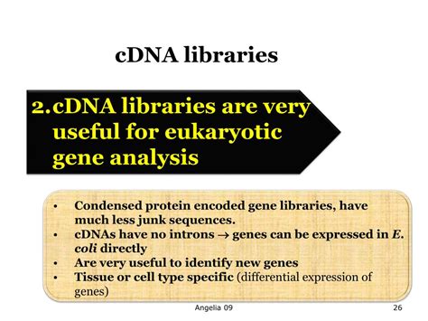 Ppt Cdna Library Powerpoint Presentation Free Download Id1416088
