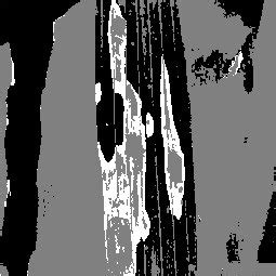 Colour Transformation RGB To Binary Image Download Scientific Diagram