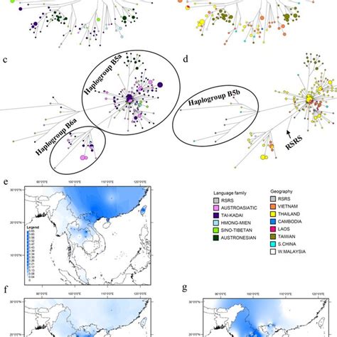 Diversity And Distribution Of Haplogroup C Ab Network Of Haplogroup