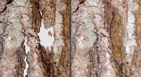 Smartphone Photogrammetry 3d Scanning Adobe Substance 3d