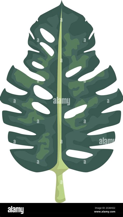Cycas Leaf Stock Vector Images Alamy