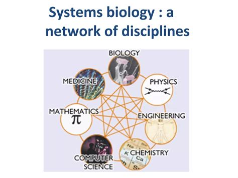 Systems Biology And Approaches Of Genomics And Proteomics Ppt Biological Sciences Science