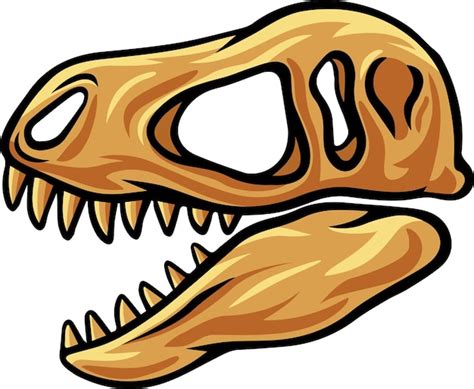 Premium Vector Tyrannosaurus Dinosaur Skull Fossil