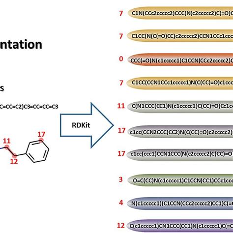 Data Augmentation The Red Numbers Indicate The Ergodic Start Sites Of Download Scientific