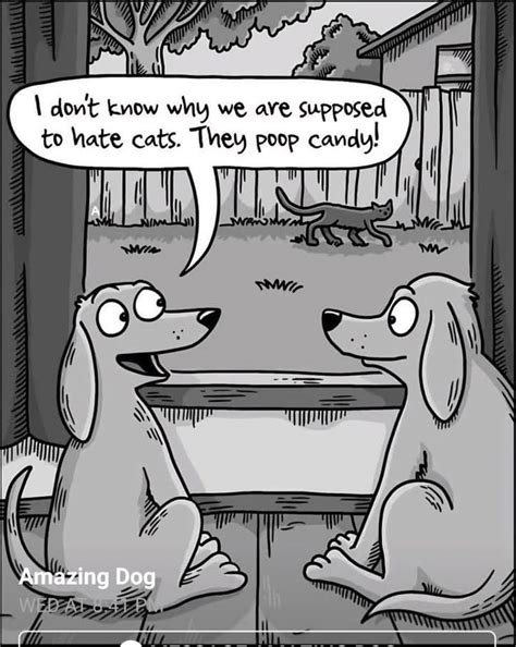 Pin By Alyson Elizabeth On Things That Make Me Giggle Funny Cartoon
