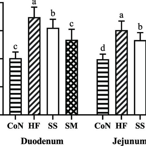 Effects Of Different Selenium Sources On Oxidative Stress Parameters In Download Scientific