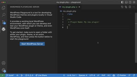 wordpress playground
