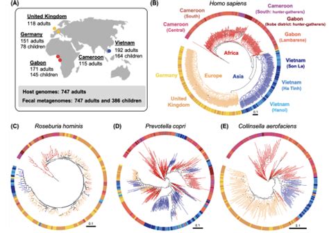 Gut Microbiota Codiversified With Their Hosts New Preprint The Ley Lab