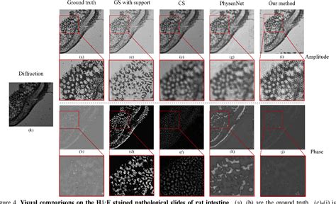 Figure 4 From Physics Based Iterative Projection Complex Neural Network For Phase Retrieval In