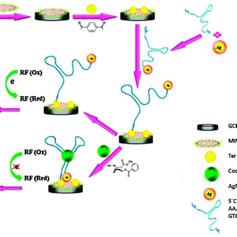 Electrochemical Biosensors For Ethanol And Ethanol Metabolites Download Scientific Diagram