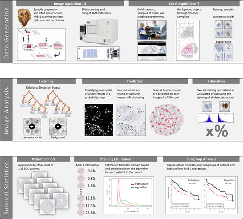 Computational Pathology Challenges And Promises For Tissue Analysis Deepai
