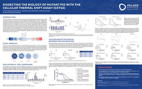 Aacr Poster P53 Hard Target Pelago Bioscience