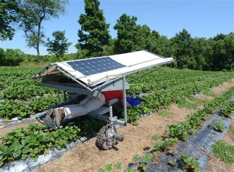 Best 13 Solar Powered Picking Assistant Takes Berry Pickers For A Ride