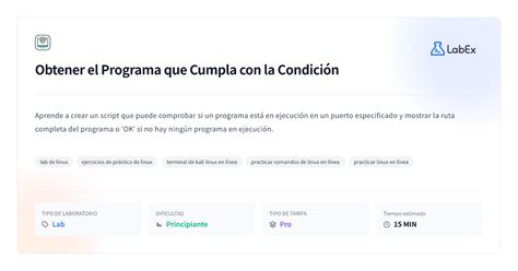 Crear Un Script Para Comprobar Los Programas En Ejecución En Los Puertos Labex