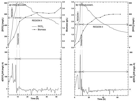2 Representative Profiles Of Biomass And Dissolved Co 2 Concentration