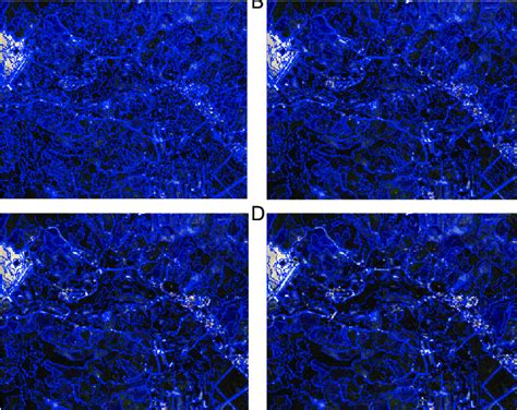 Image Segmentation At Different Scale Levels A Scale Parameter 100