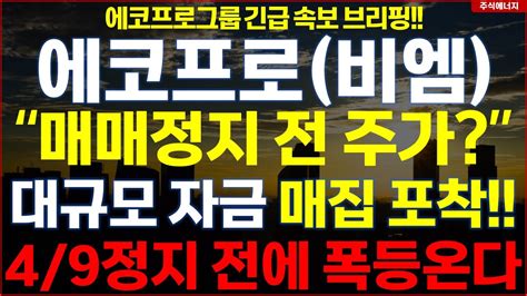 에코프로 에코프로비엠 매매정지 전 주가전망 대규모 자금 매집포착 4월 9일 정지 전에 폭등온다 에코프로 에코프로머티 긴급속보 브리핑 Youtube