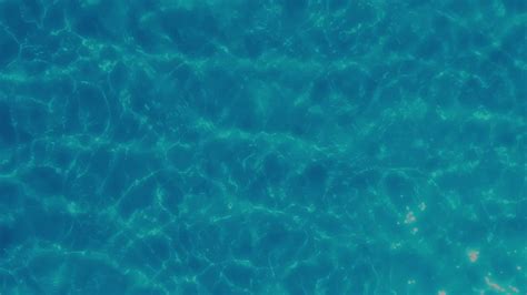 My Pool Team Ready To Transform Your Pool From Green To Blue Before Spring 😉 Dive Into