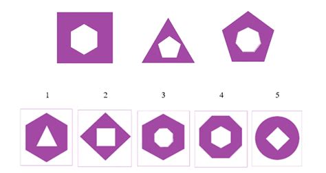 Free Cat4 Level B Year 5 Practice Test And Pdf Sample