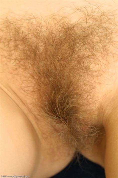 Hairy Blonde Pussy Sex