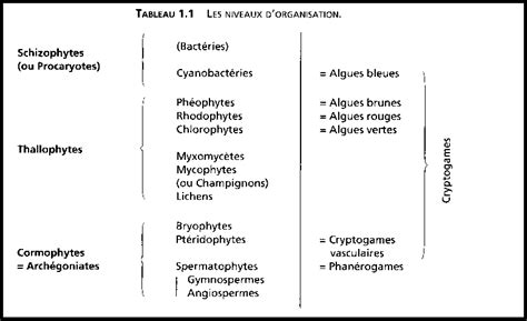 Classificationgénérale Cours