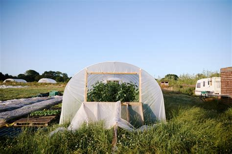 Allwood Farm Shrub London