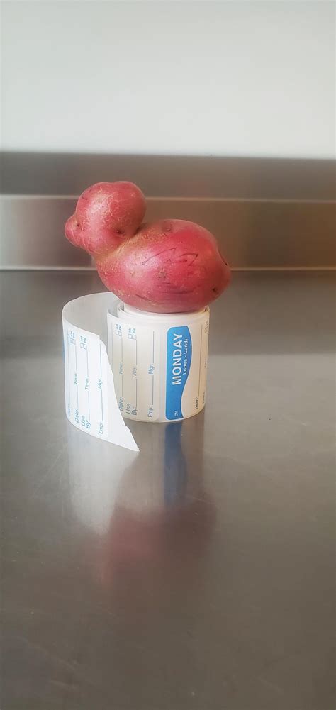 My New Prep Buddy Rkitchenconfidential