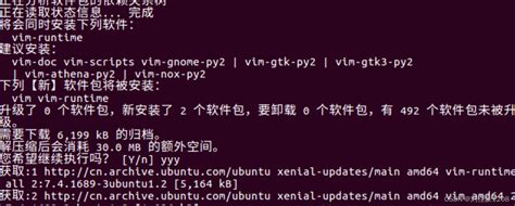 程序‘vim 已包含在下列软件包中的解决方案 vim已包含在下列软件包中 csdn博客