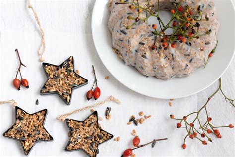 Vögel Im Winter Vogelfutter Selbst Machen Upcycle Xmas Cookies Desserts Food Super Emoji